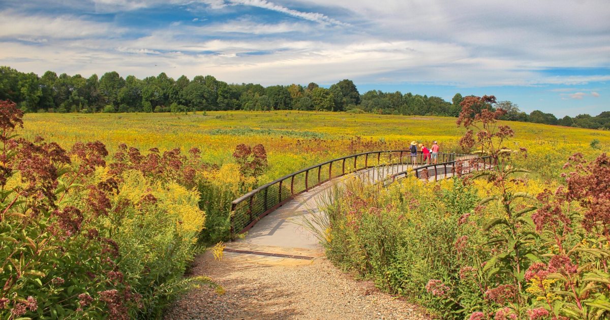 Happy Tenth Anniversary to the Meadow Garden | Longwood Gardens